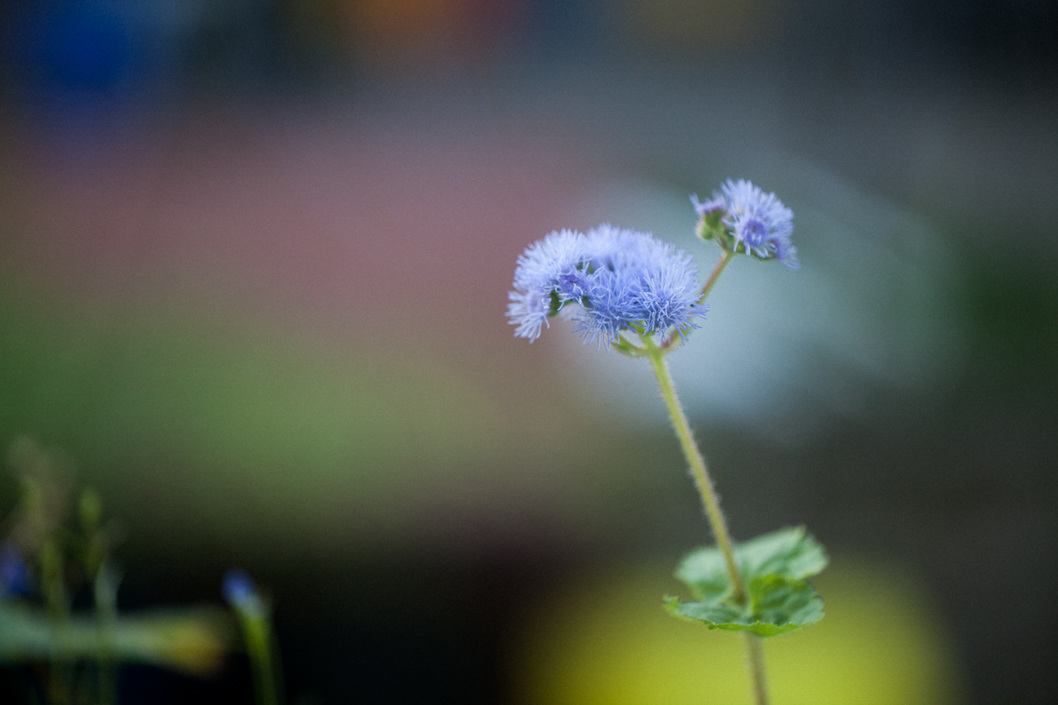 Héloïse Faure Photography